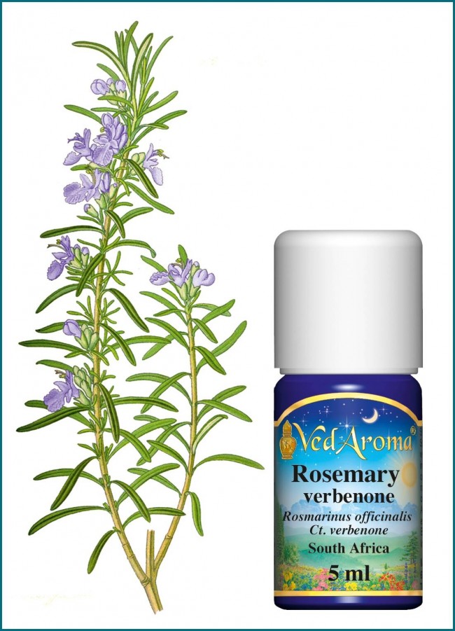 Rosemary Verbenone Essential Oil (5 ml) - VedAroma EU