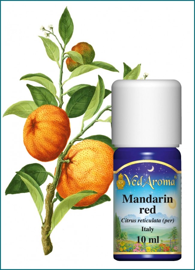 Mandarin Red Essential Oil (10 ml) - VedAroma US