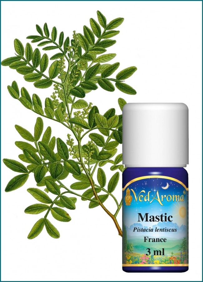 Mastic Essential Oil (3 ml) - VedAroma US