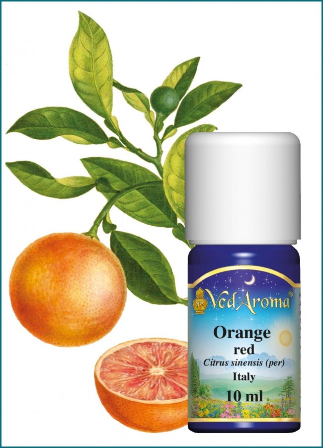 Orange Red, Italy Essential Oil (10 ml) - VedAroma US