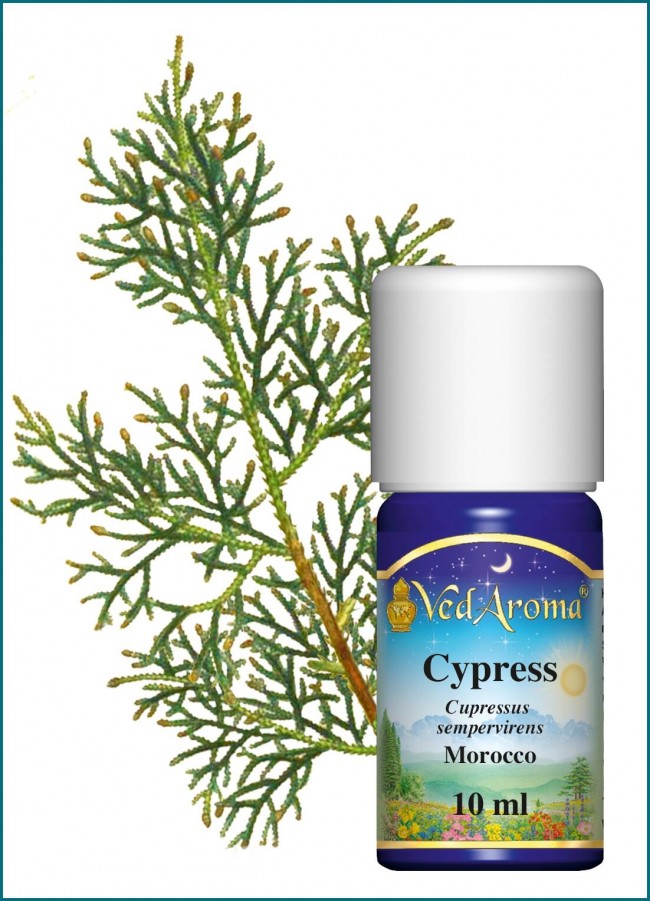 Cypress Essential Oil (10 ml) - VedAroma US