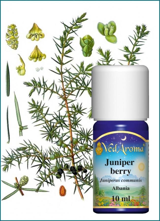 Juniper Berry Essential oil (10 ml) - VedAroma US