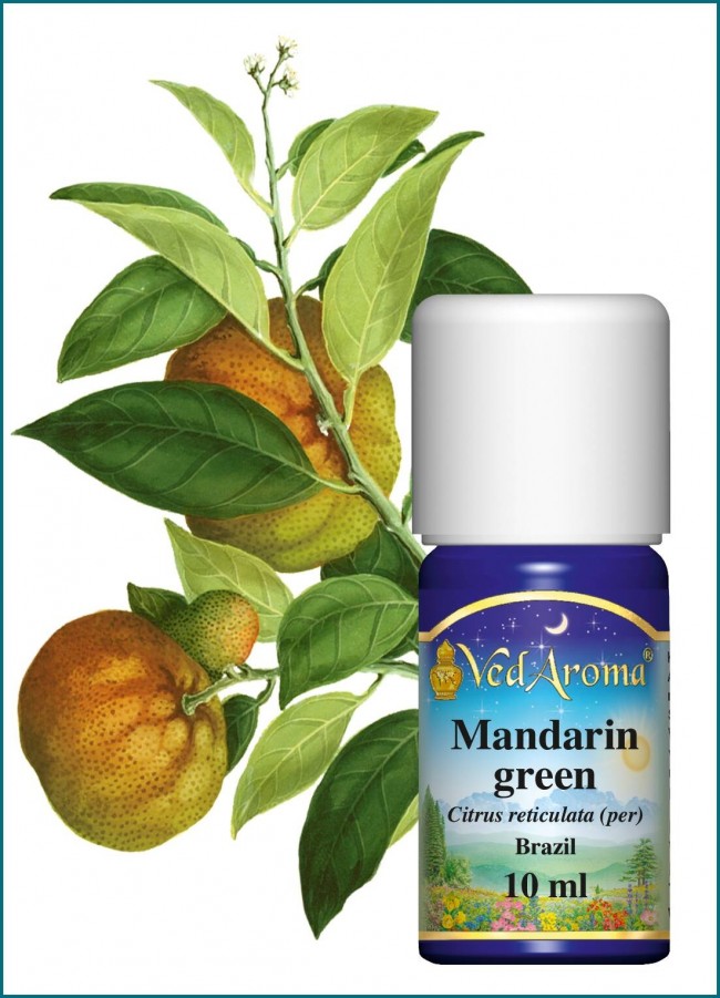 Mandarin Green Brazil Essential Oil (10 ml) - VedAroma US