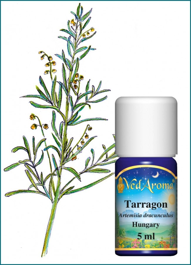 Tarragon Essential Oil (5 ml) - VedAroma US