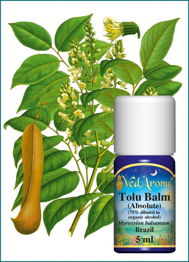 Tolu Balm Absolute (5 ml) - VedAroma US