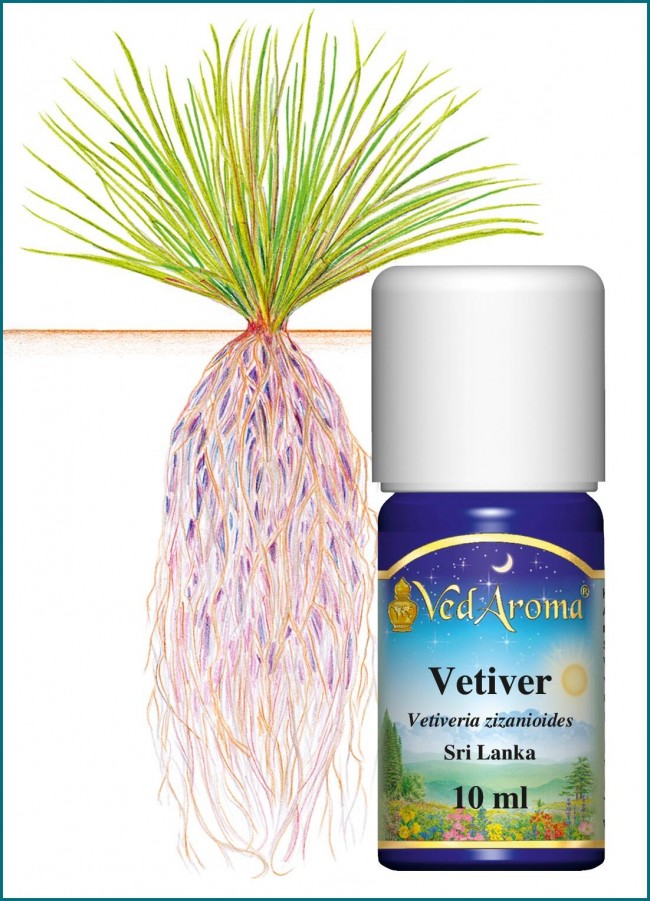 Vetiver Essential Oil (10 ml) - VedAroma US